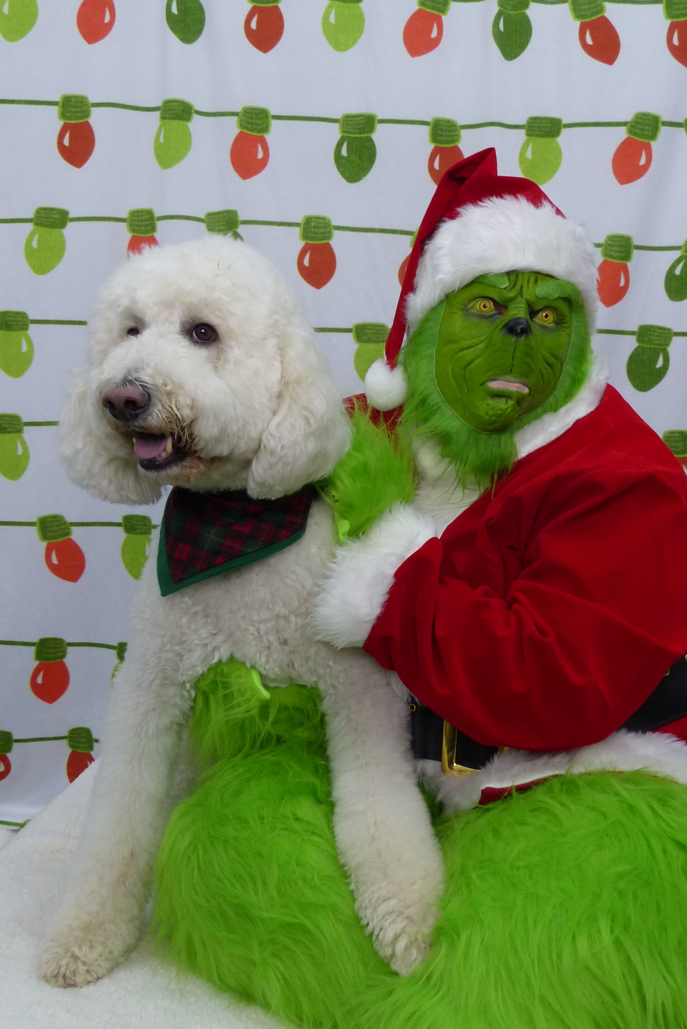 Christmas 2022 A-L – PDX